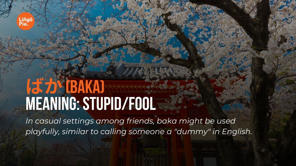 12+ Japanese Curse Words, Swear Words & Insults (Guide)