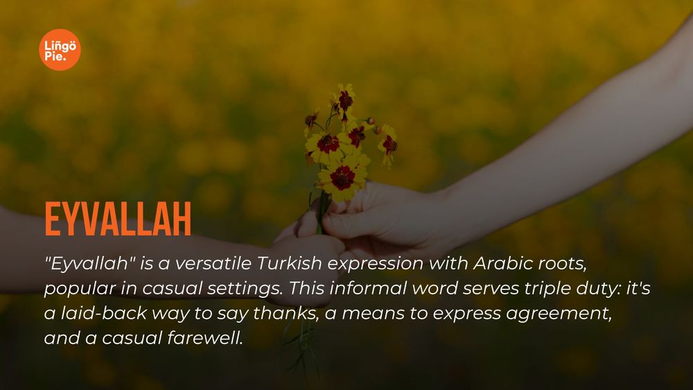 15+ Best Ways To Say Thank You In Turkish Language
