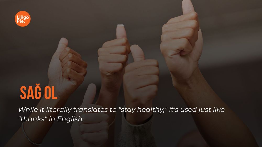 15+ Best Ways To Say Thank You In Turkish Language