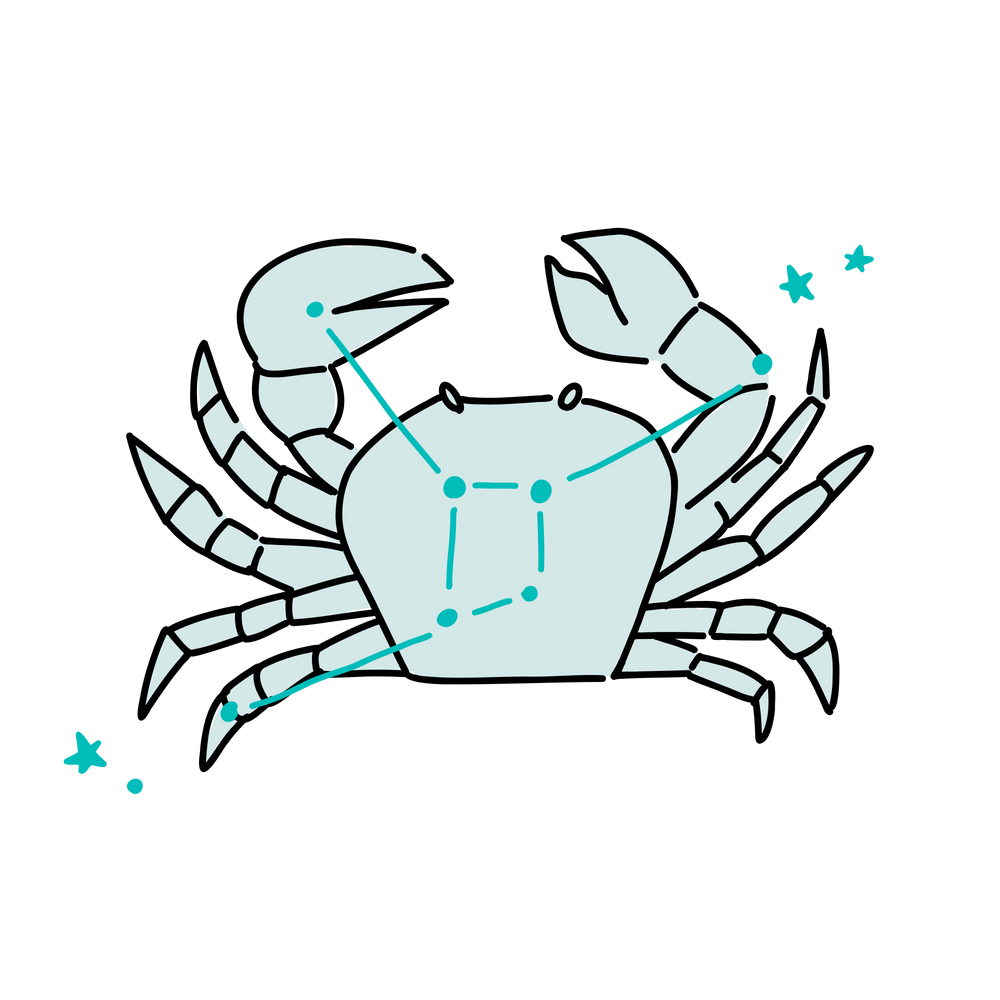 12 Zodiac Signs In Japanese: How To Talk About Horoscopes