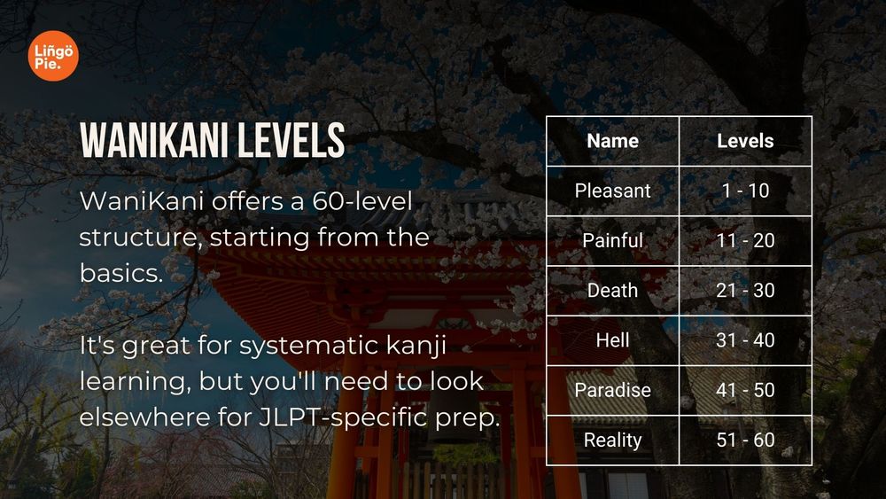 WaniKani Review: I Tried This Kanji App for 30 Days—Here's What Happened
