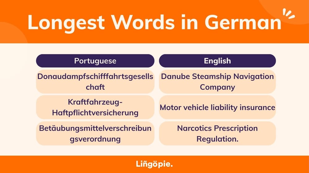 10 Longest Words in German & Their English Translations