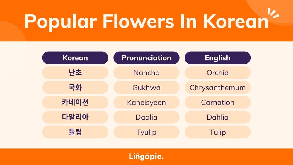 22+ Popular Flowers In Korean And When to Give Them