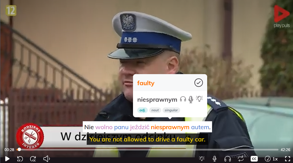 6 Polish TV Shows On Netflix To Watch When Learning Polish