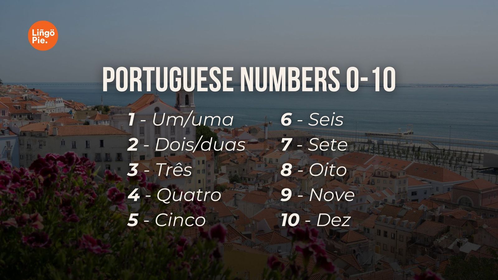 How To Count Portuguese Numbers 1-1000 Like A Pro