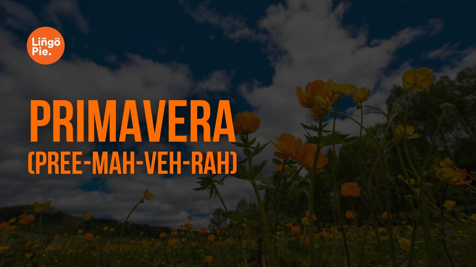 4 Seasons In Spanish: A Vocab Guide For Beginners