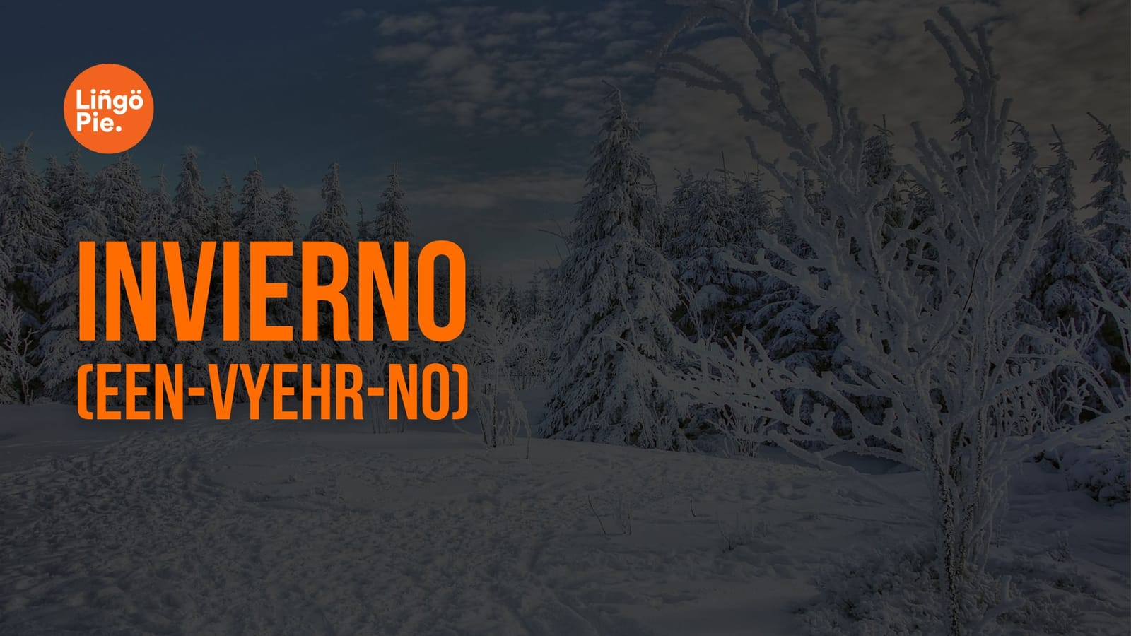 4 Seasons In Spanish: A Vocab Guide For Beginners