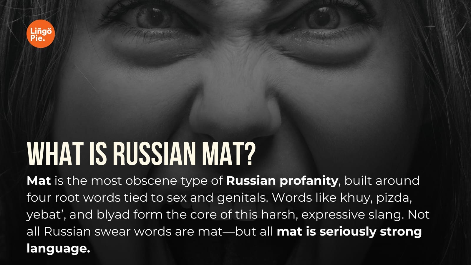 14+ Crazy Russian Swear Words And What They Mean [2025]