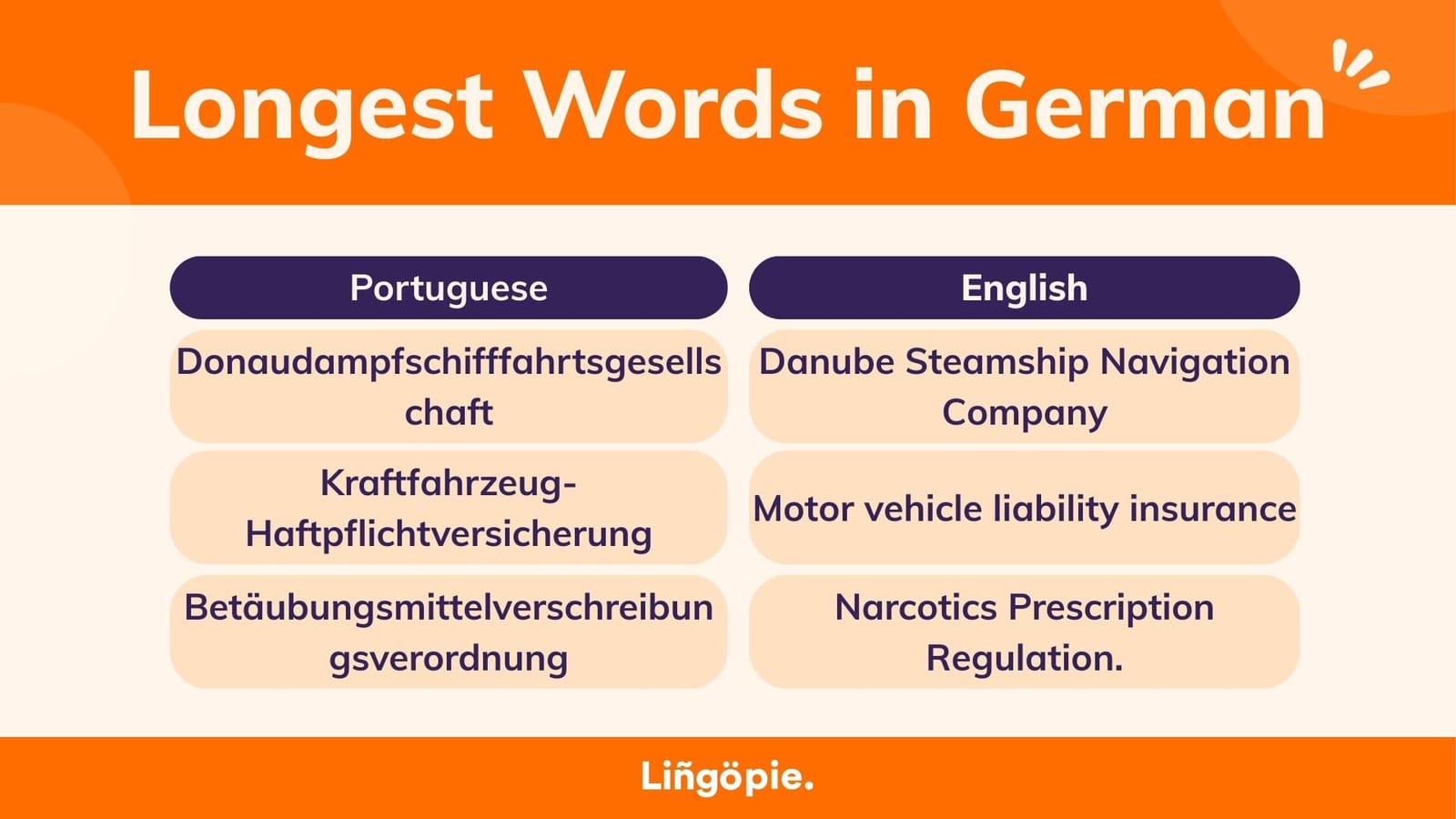 10 Longest Words in German & Their English Translations