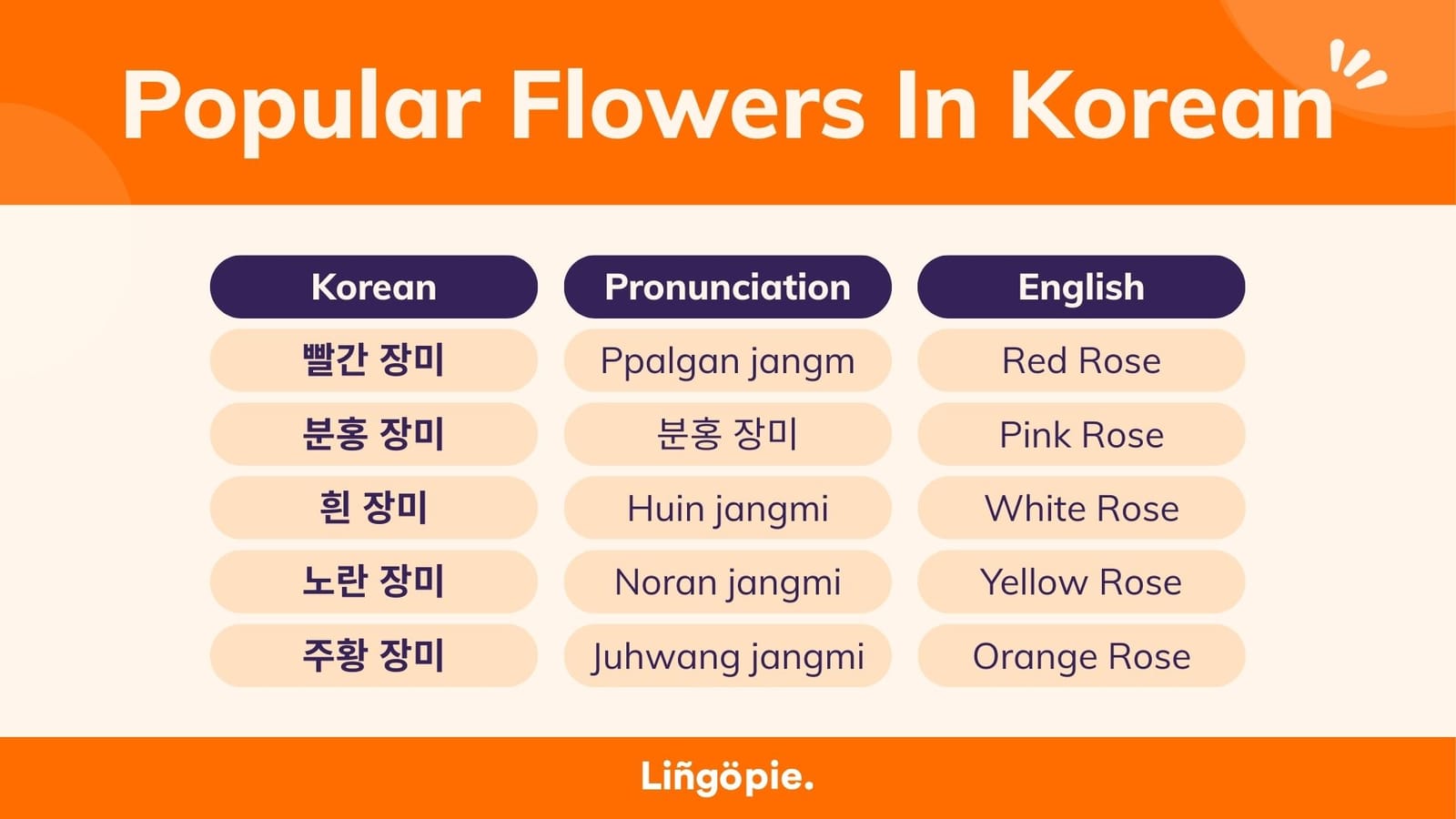 22+ Popular Flowers In Korean And When to Give Them