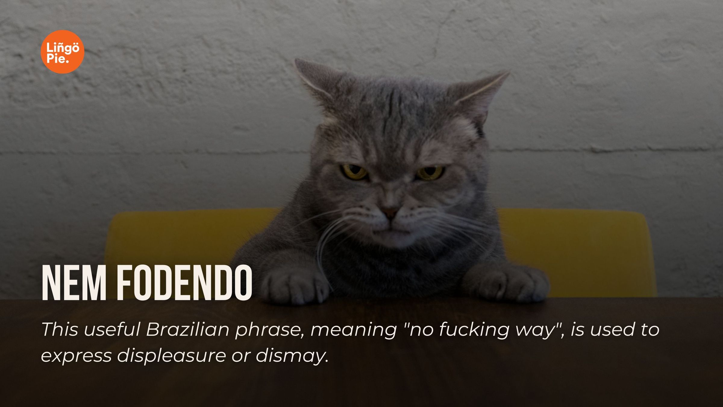 15+ Easy Portuguese Insults And Curse Words (With Context)