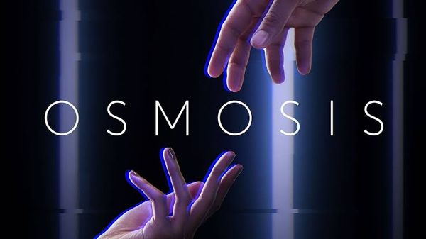 12 Best French TV Shows on Netflix to Learn French