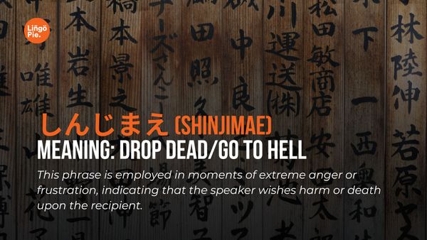 12+ Japanese Curse Words, Swear Words & Insults (Guide)