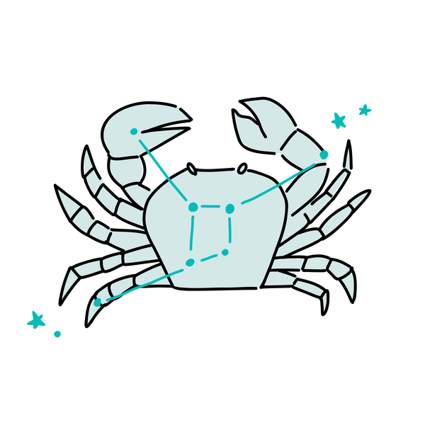 12 Zodiac Signs In Japanese: How To Talk About Horoscopes