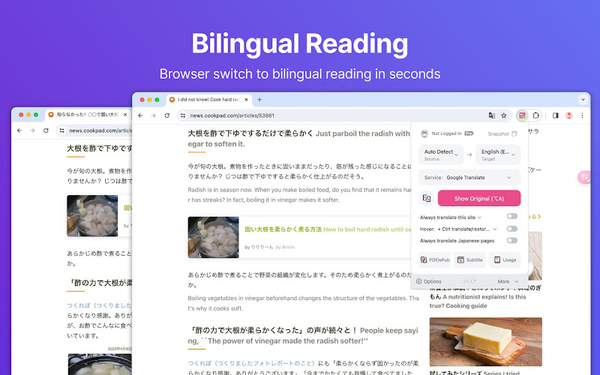 8 Best Chrome Extensions for Language Learning [2025 Guide]