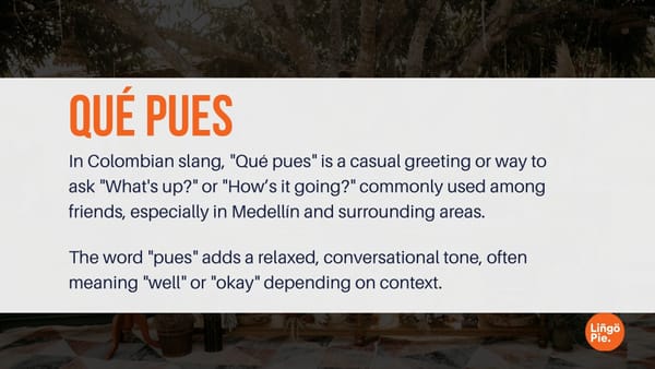 31 Colombian Slang & Bad Words EXPLAINED (With Audio!)