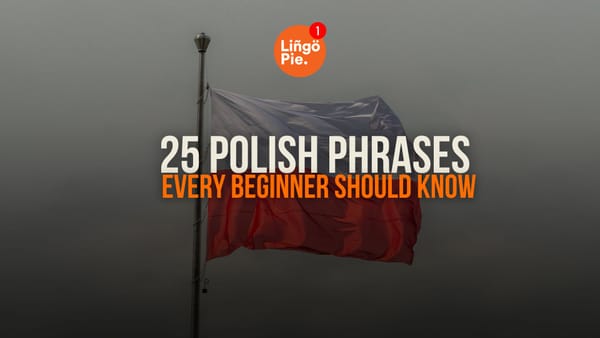 What’s The Best Way To Learn Polish Quickly? [Guide]