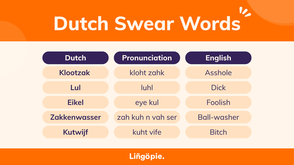 18+ Crazy Dutch Swear Words And Insults