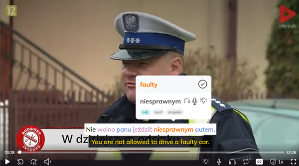 6 Polish TV Shows On Netflix To Watch When Learning Polish